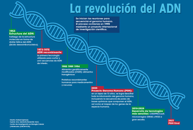 A 70 años del descubrimiento de la estructura del ADN A 70 años del descubrimiento de la estructura del ADN