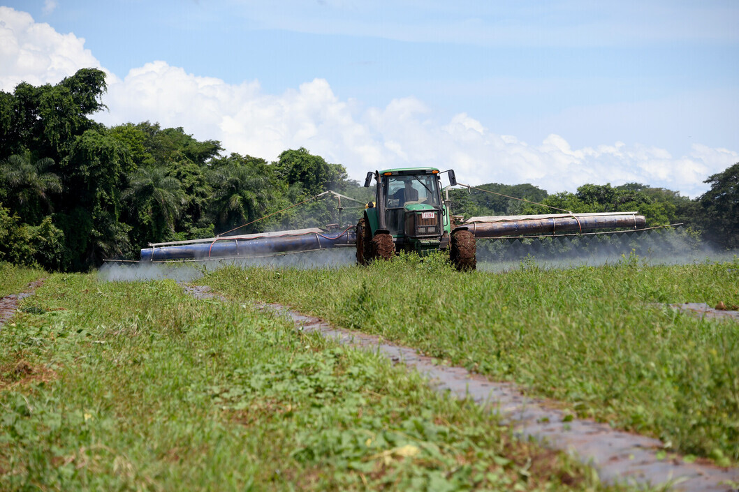 El Ciproc-UCR mostró alternativas biológicas para desarrollar una agricultura sostenible en ...